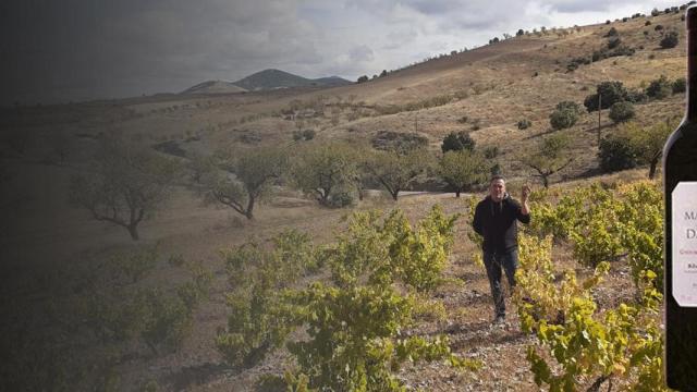 El secreto de Daroca: macabeo y garnacha en la frontera de la ...