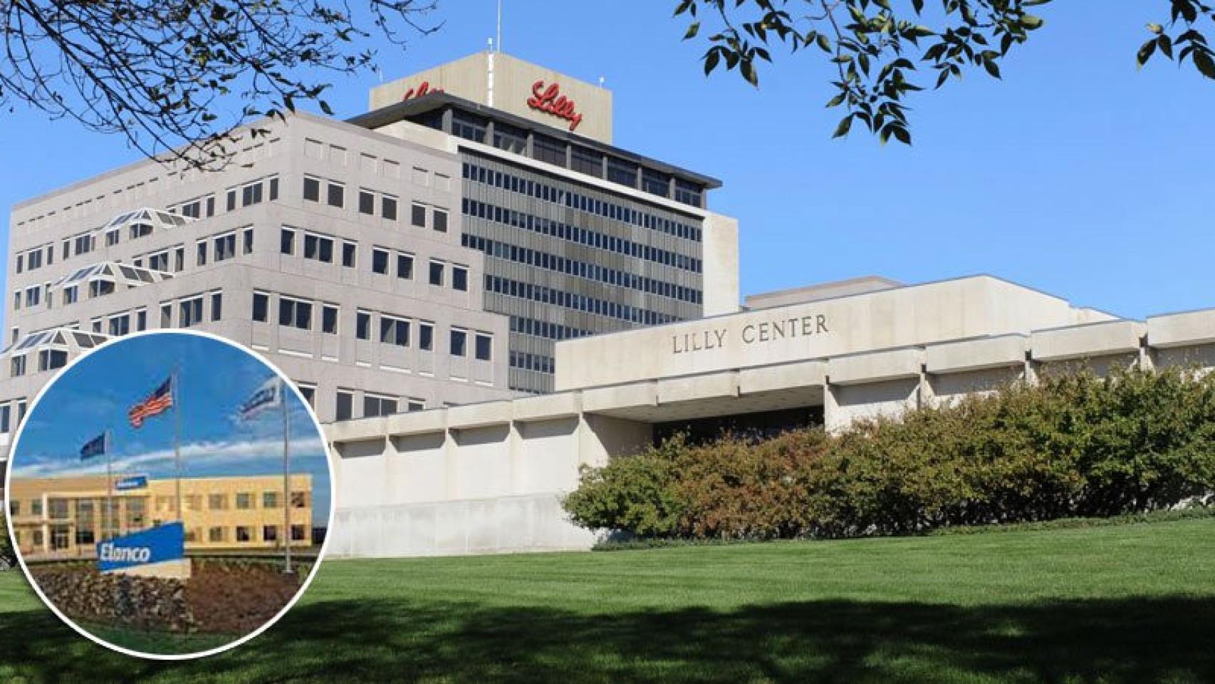 El gigante Eli Lilly se lleva a Madrid la sede de Elanco Spain