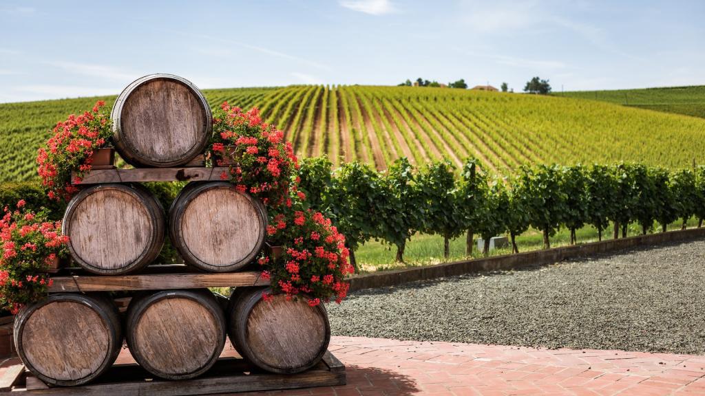 Explora la tradición vinícola: conoce estas bodegas con más de ocho ...