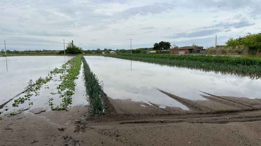 La ACA impide que los agricultores drenen la inundación en sus campos ...