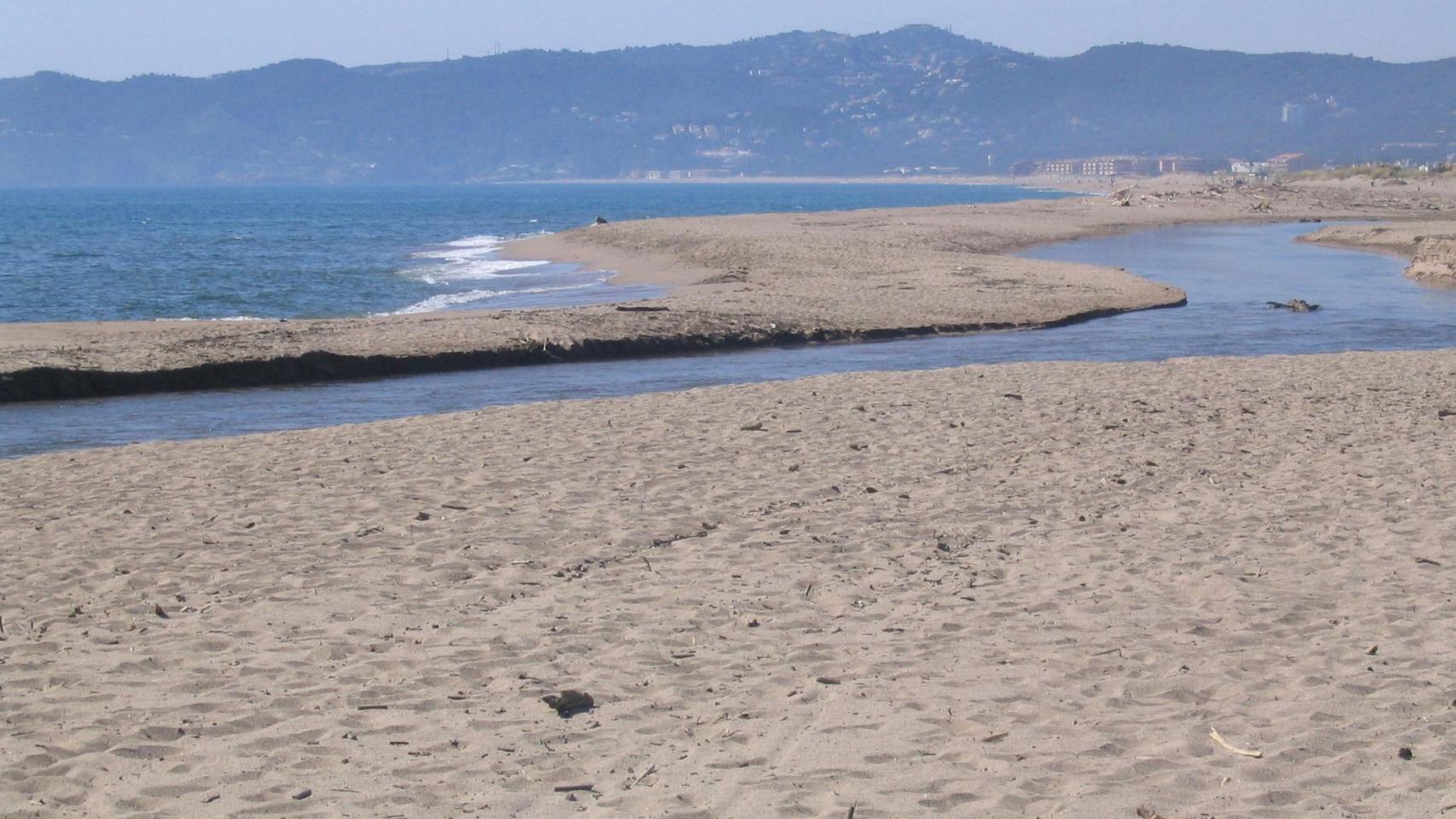 Ni acantilados ni bosques, la playa exclusiva de la Costa Brava que ...