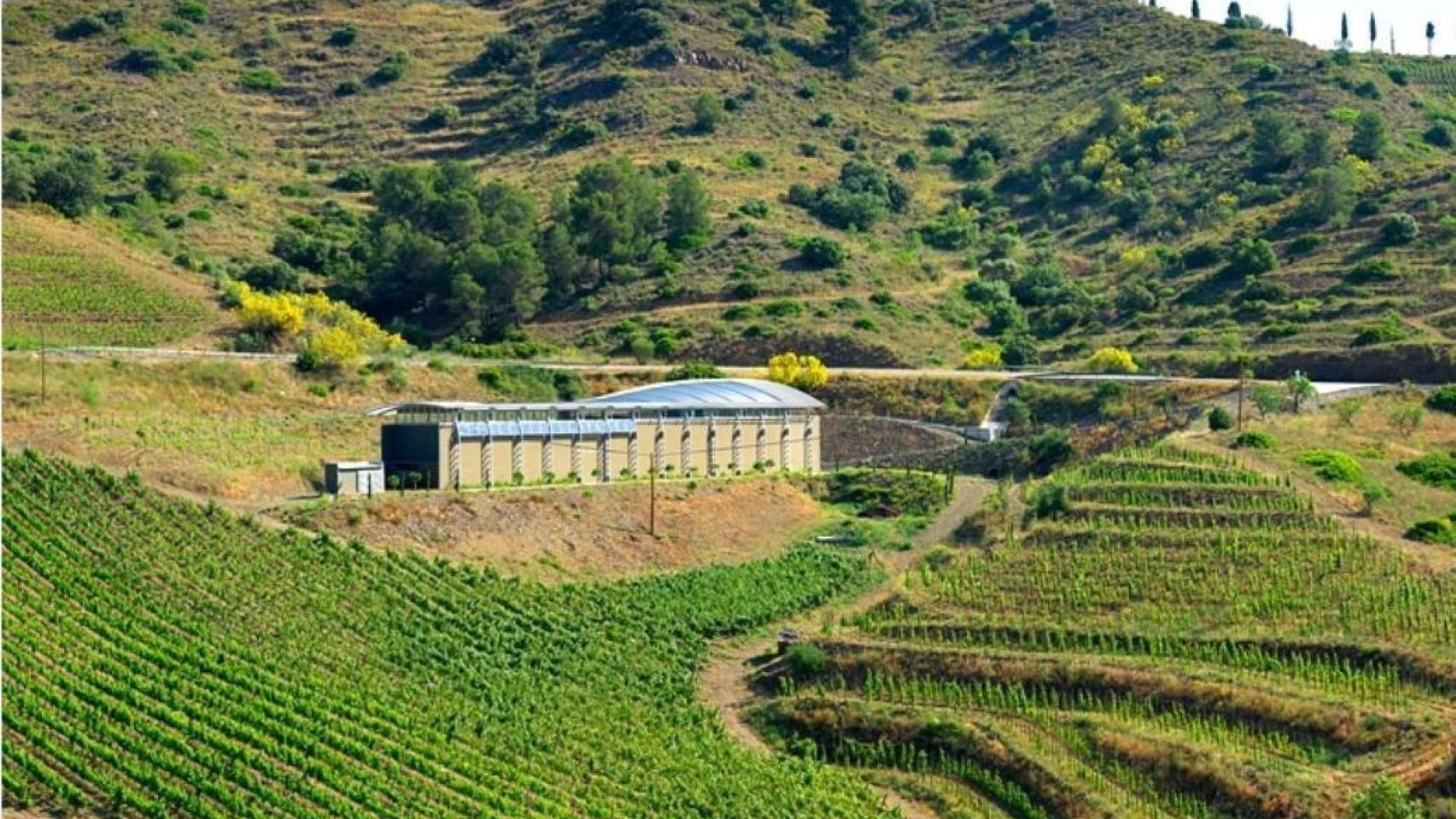 El fondo Tyrus Capital compra la bodega del Priorat Mas Igneus
