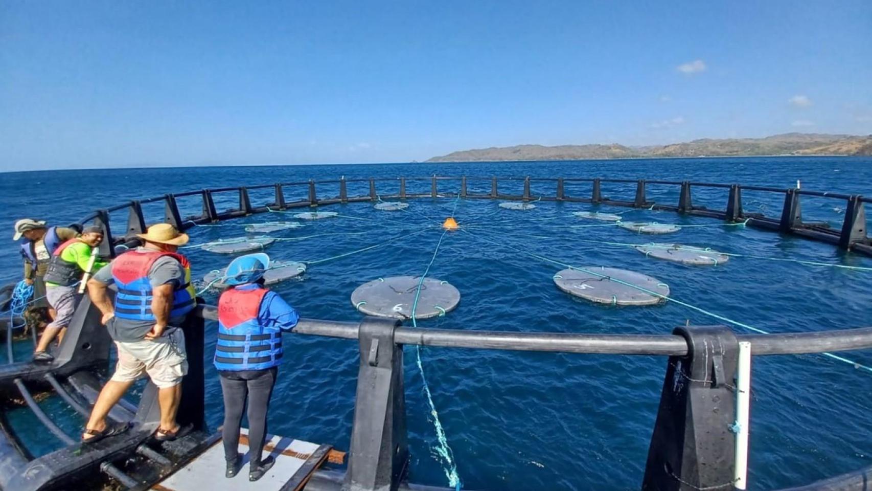 Zunibal apuesta por la pesca sostenible: una solución innovadora para ...