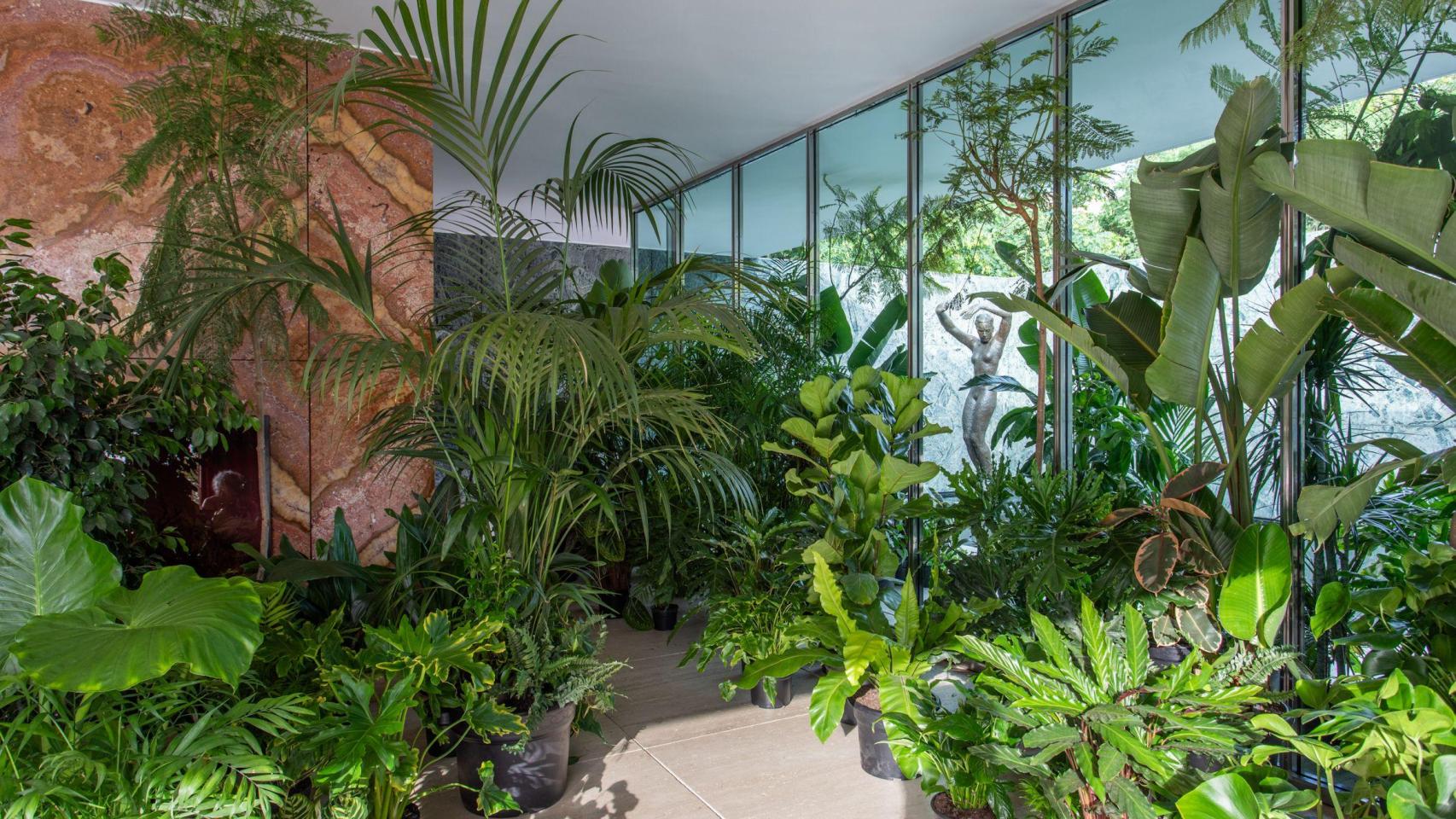 Más de 600 plantas selváticas invaden el icónico Pabellón Mies van der ...